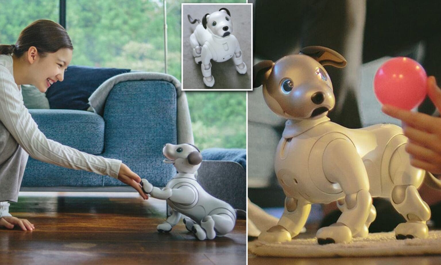Sony's new robot dog, aibo Espresso, now available in the US ...