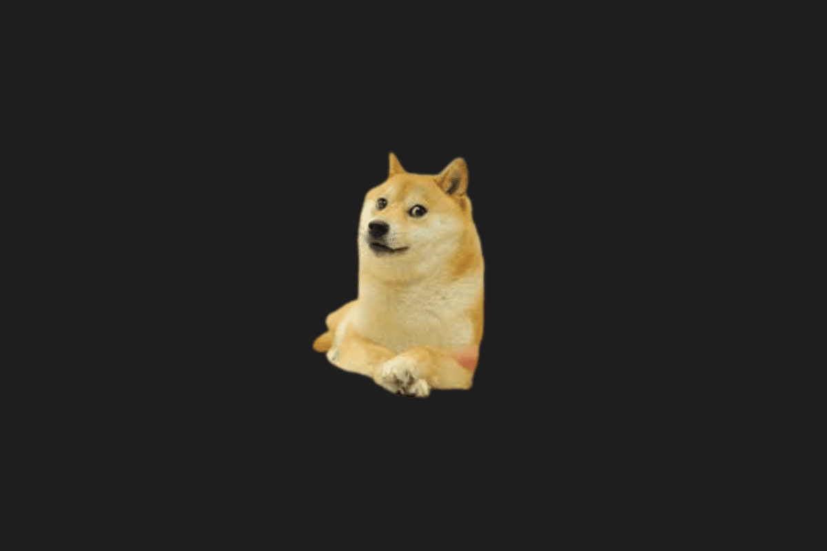 The Doge NFT (DOG) Price, Charts & Market Capitalization - Metaverse Planet
